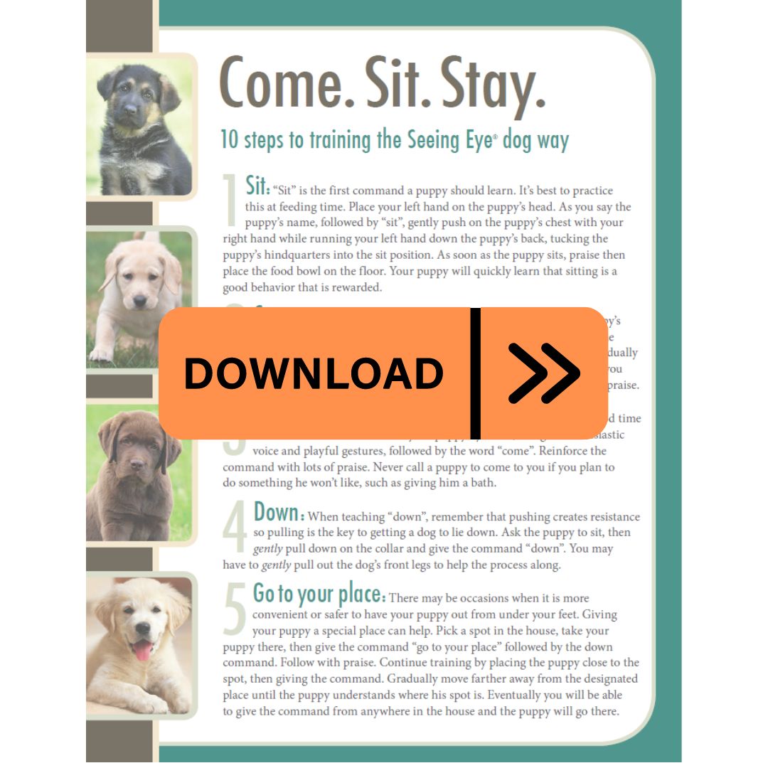 Resources for Pet Owners | Dog Tips & Support | The Seeing Eye
