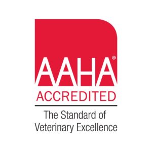 The Seeing Eye Accreditation | Recognized Guide Dog Standards