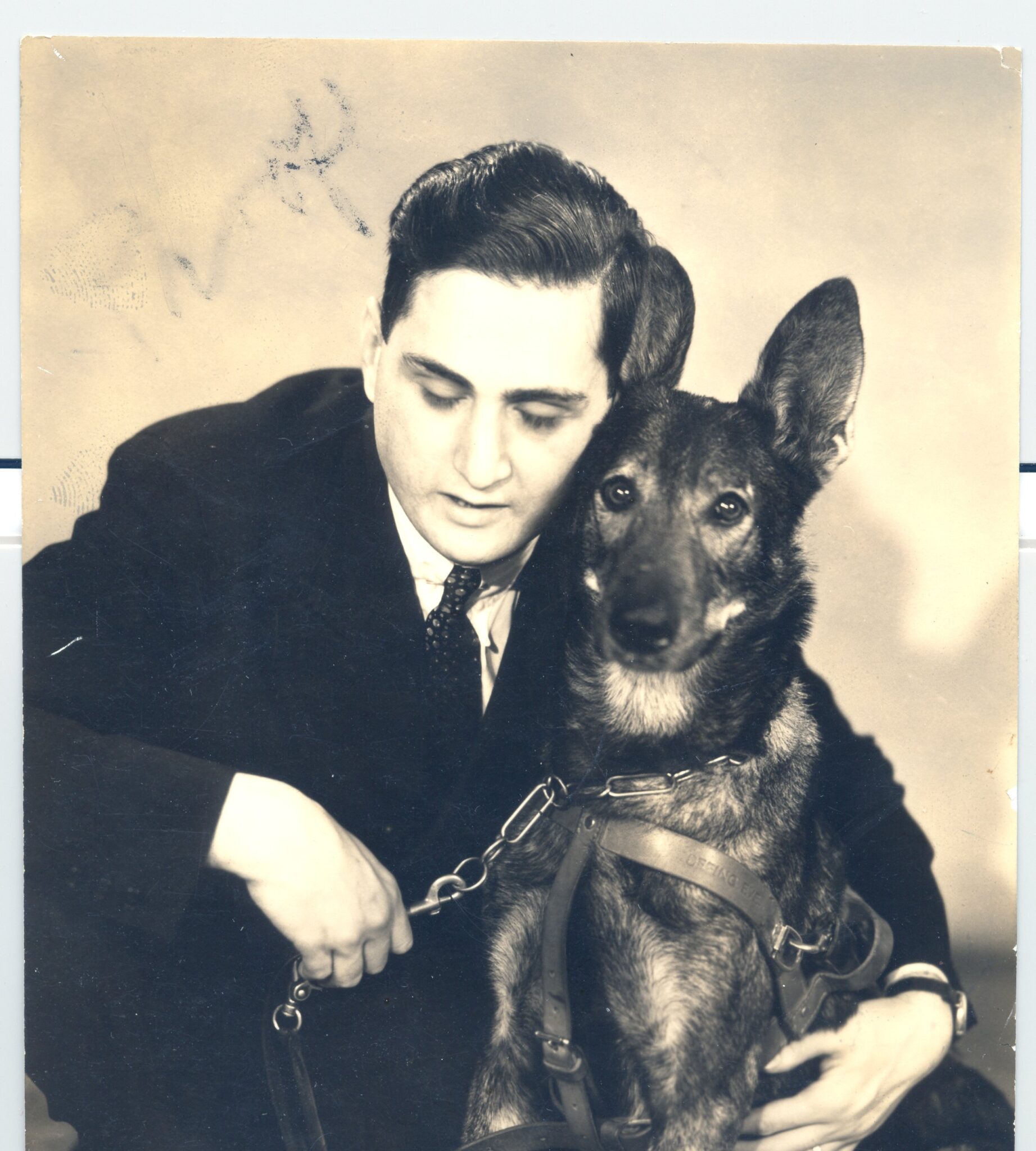 Dog Naming Tips & Popular Puppy Names | The Seeing Eye