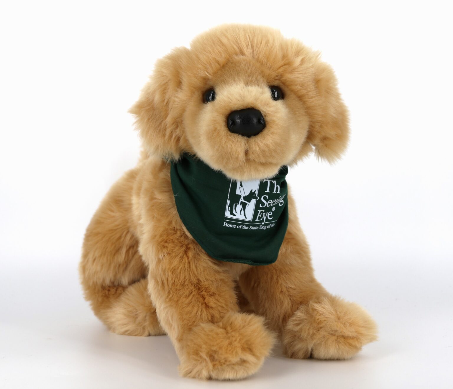 The Seeing Eye | Guide Dog School & Independence Training