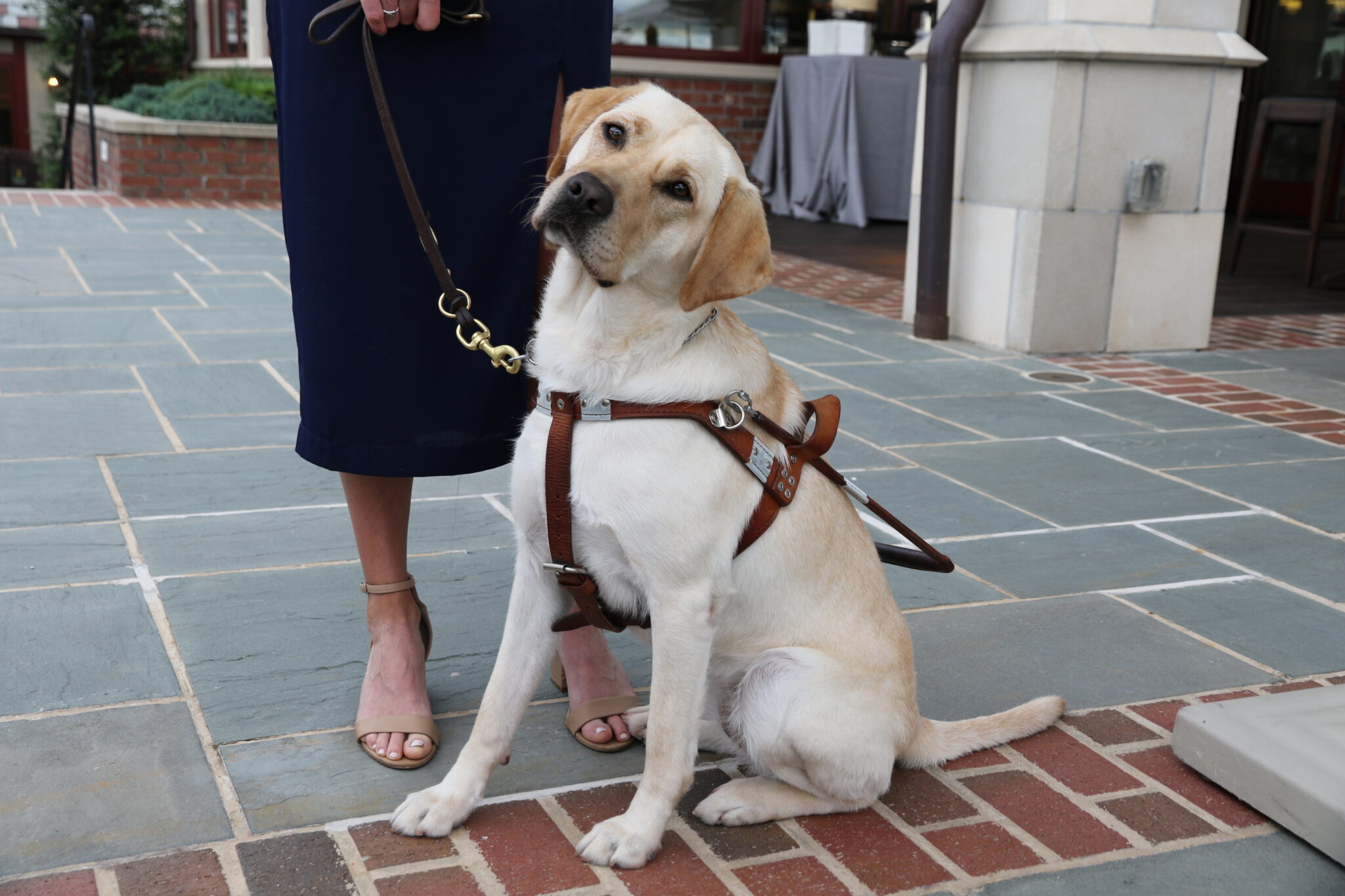 The Seeing Eye | Guide Dog School & Independence Training