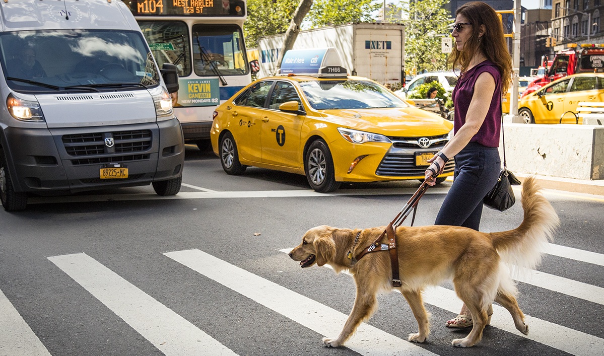 Seeing Eye® Guide Dogs Training Program