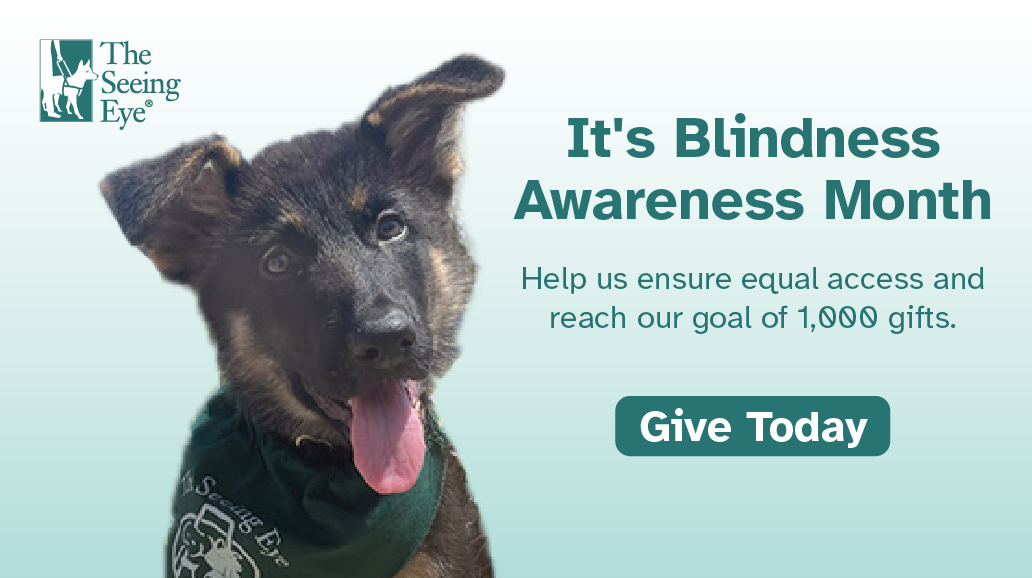 Seeing Eye® Guide Dogs Training Program