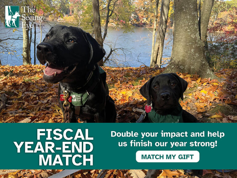 Seeing Eye® Guide Dogs Training Program