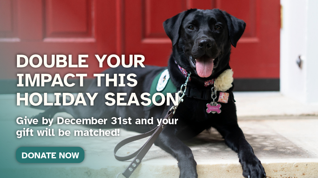 Seeing Eye® Guide Dogs Training Program