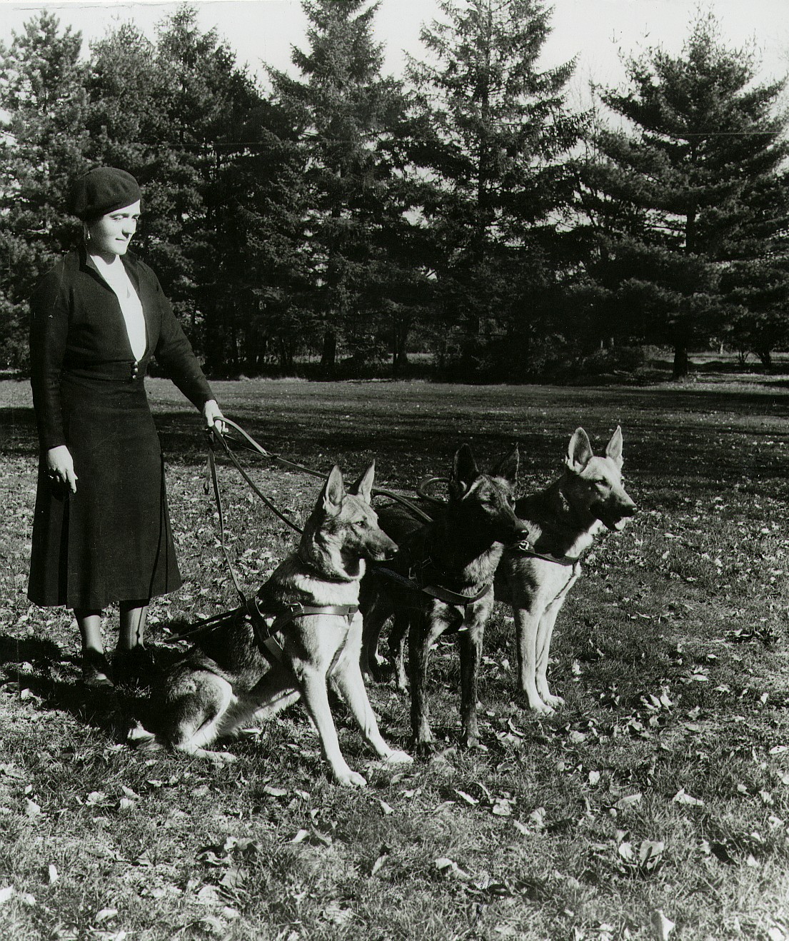 The Seeing Eye's Early Beginnings: Dorothy Harrison Eustis